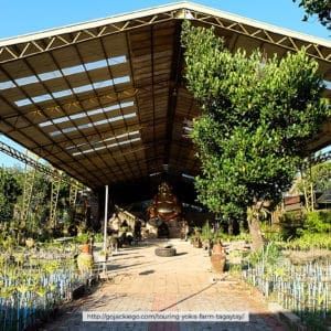 Yoki’s Farm | City Search Philippines